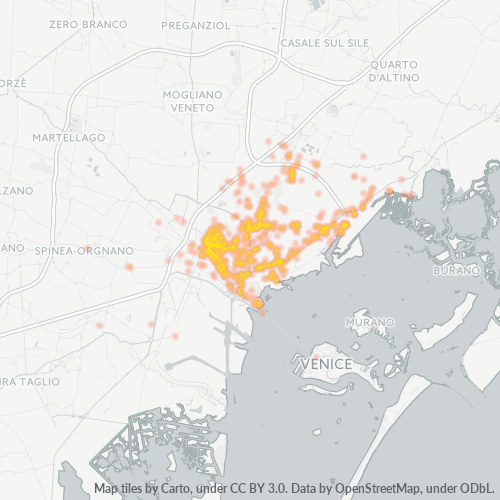 Green Shuttle 24 Marco Polo | 393 949 1036 | Venezia
