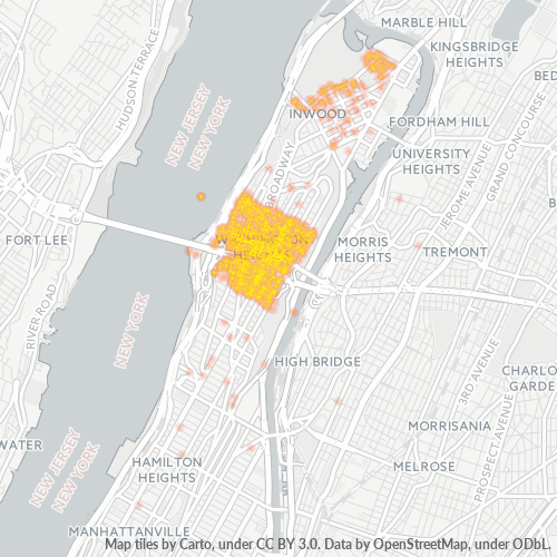 Amigos Tours | New York City | Ray Mudesta