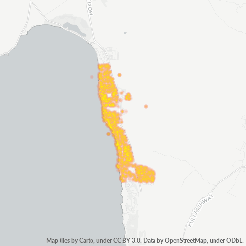 Dr. Michael Dean Morrison, DC | (808) 879-0638 | Kihei, Hawaii