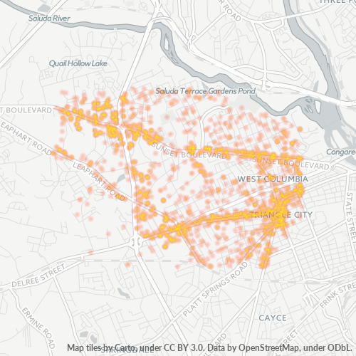 Dr. Walter P. Witherspoon Jr, DDS | (803) 796-5301 | West Columbia ...