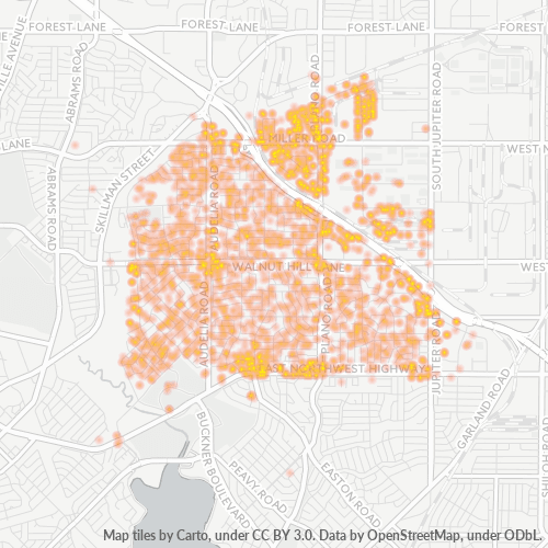 Back Door Studios | (214) 328-1016 | Dallas