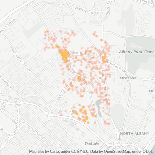 Certified Allergy & Asthma Consultants | (518) 374-2266 | Albany, New York