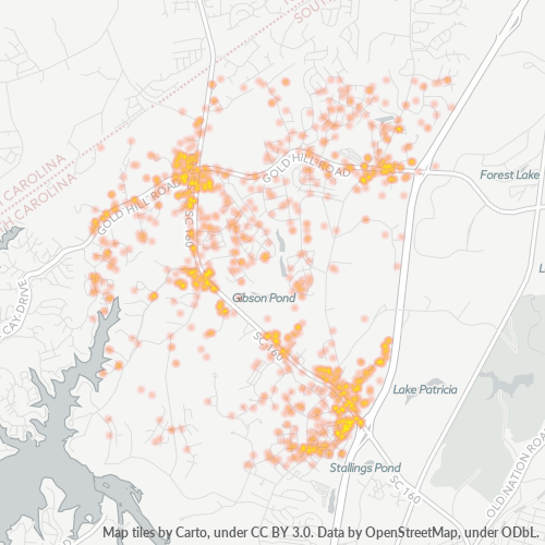 Leonard, Bruce A, MD | (803) 802-4949 | Fort Mill, South Carolina
