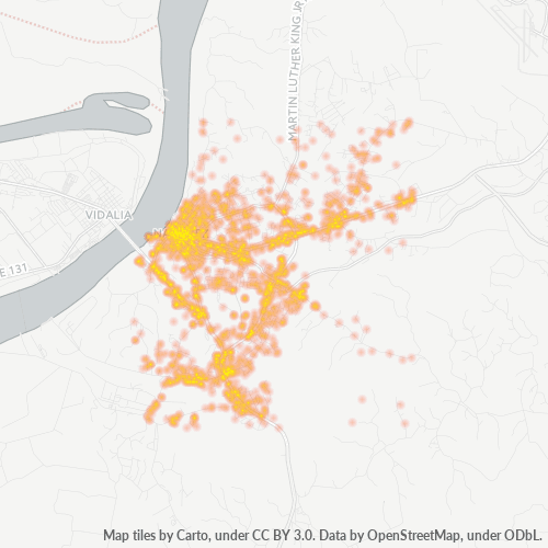 Loss Prevention Services LLC | (616) 288-3500 | Natchez