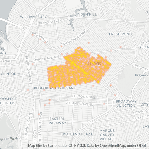 Zip Code 11221 - New York - Cybo