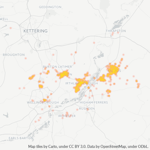 The Polar Bear | Raunds