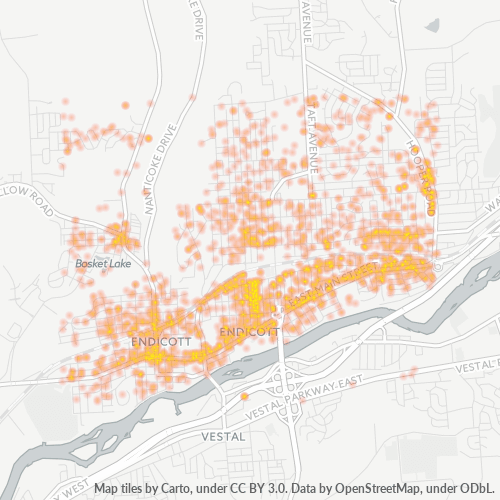 CMS Family Fun & Party Center | (607) 348-8626 | Endwell, New York