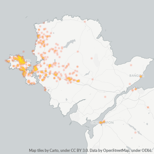 Teithiau Elfyn Thomas Tours | Holyhead | Elana Gilford
