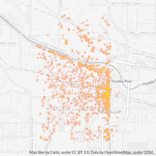 Tiffany Roller Skating | Puyallup, Washington | Ashley