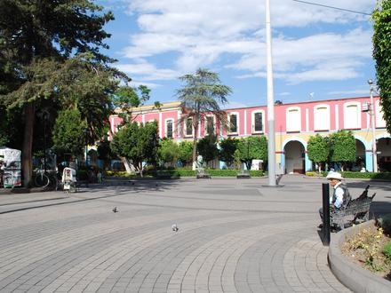Empresas de Texcoco - Empresas ubicadas en Texcoco - Cybo