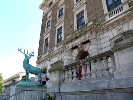 Zip Code 11373 - Elmhurst, NY - Cybo