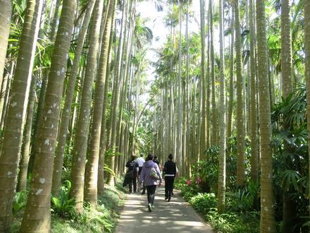 Lista de Código Postal de Okinawa (Okinawa) - Cybo