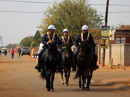 Randfontein Businesses - Companies Based in Randfontein - Cybo