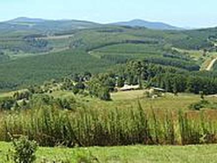 Polokwane Businesses - Companies Based in Polokwane - Cybo