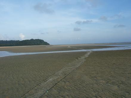 Poskod 24000 - Chukai, Terengganu - Cybo