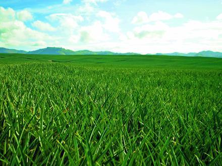 Zip Code 9504 - Polomolok, Timog Cotabato - Cybo