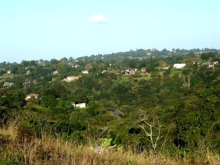 Pinetown Businesses - Companies Based in Pinetown - Cybo