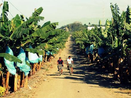 Panabo, Davao Region Zip Code List - Cybo